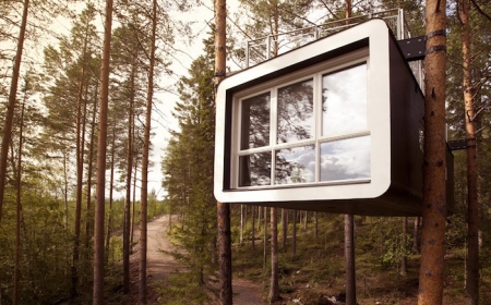 85 Incredibly Cool Tree Houses That Will Have You Dreaming Of A Forest ...