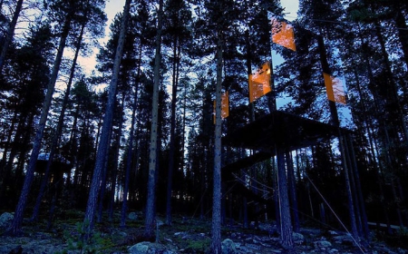 85 Incredibly Cool Tree Houses That Will Have You Dreaming Of A Forest ...