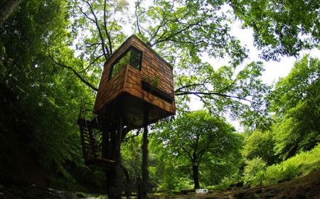 85 Incredibly Cool Tree Houses That Will Have You Dreaming Of A Forest ...