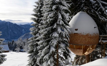 85 Incredibly Cool Tree Houses That Will Have You Dreaming Of A Forest ...