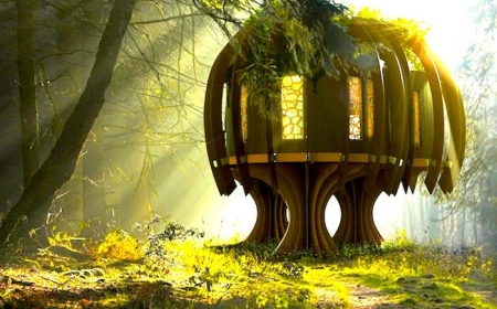85 Incredibly Cool Tree Houses That Will Have You Dreaming Of A Forest ...