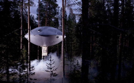 85 Incredibly Cool Tree Houses That Will Have You Dreaming Of A Forest ...