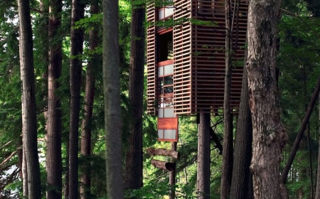 1001 + Ideas for Cozy and Incredibly Cool Tree Houses