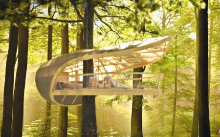85 Incredibly Cool Tree Houses That Will Have You Dreaming Of A Forest ...