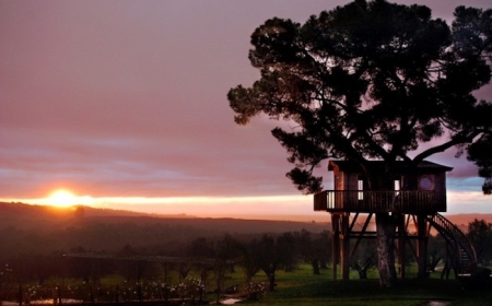 85 Incredibly Cool Tree Houses That Will Have You Dreaming Of A Forest ...