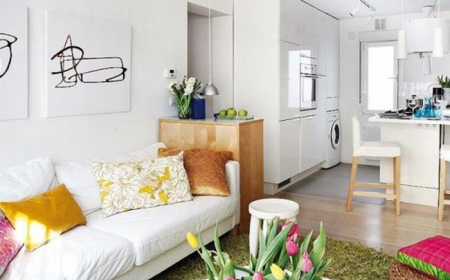 1001 + Ideas on How to Decorate a Living Room or Studio Flat