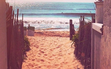 120+ amazingly cute backgrounds to grace your screen