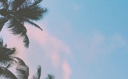 Choose the most beautiful Tumblr wallpaper