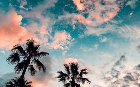 120+ amazingly cute backgrounds to grace your screen