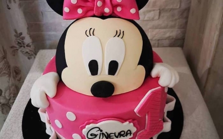 Find the best Minnie Mouse cake to surprise your little one with