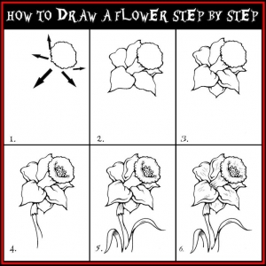 Easy flowers to draw - step-by-step tutorials + pictures - archziner.com