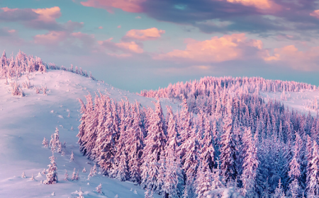 80 winter wallpapers and backgrounds to decorate your screen with