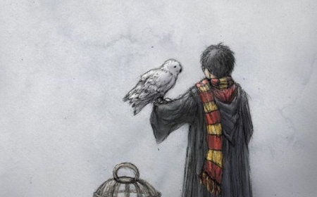 70 Harry Potter drawings for the die-hard fans + tutorials