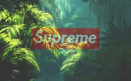 Pick a Supreme Wallpaper To Show Respect To The Skateboarding Culture