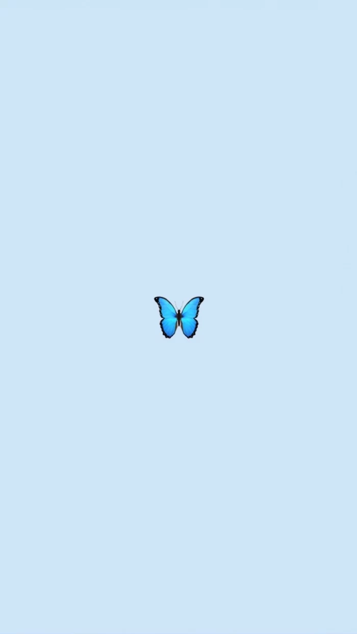 Cute Backgrounds For Girls Light Blue Buy Discounted Www pinnaxis Cute Backgrounds For Girls Light Blue Buy Discounted Www pinnaxis