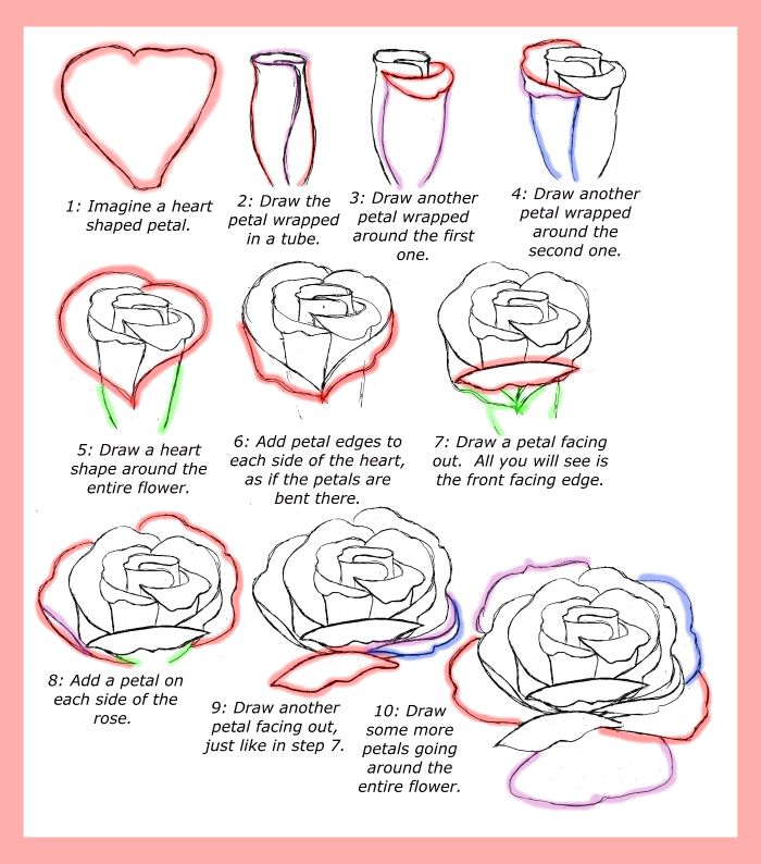 1001 Ideas And Tutorials On How To Draw A Rose Step By Step