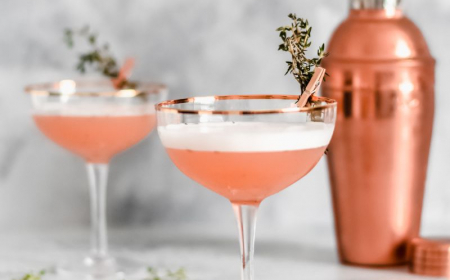 Classic gin cocktails – easy recipes just in time for holiday season 2021