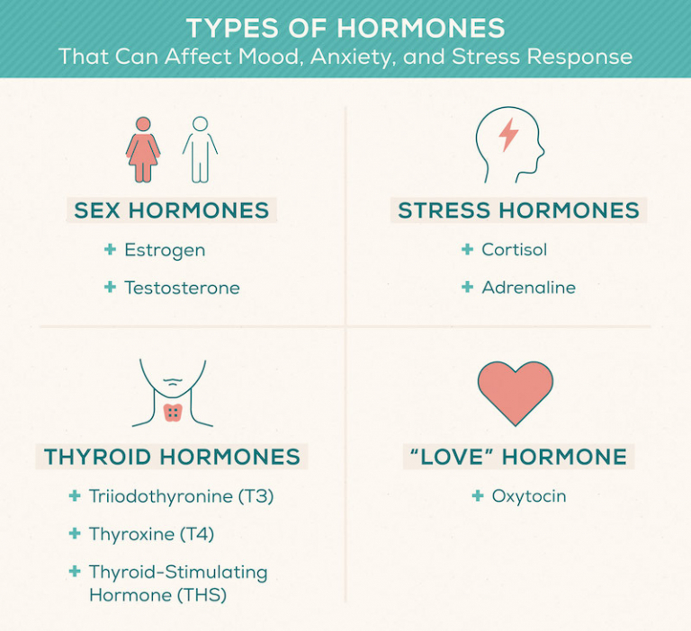 Hormonal imbalance: how to balance symptoms and regulate hormones