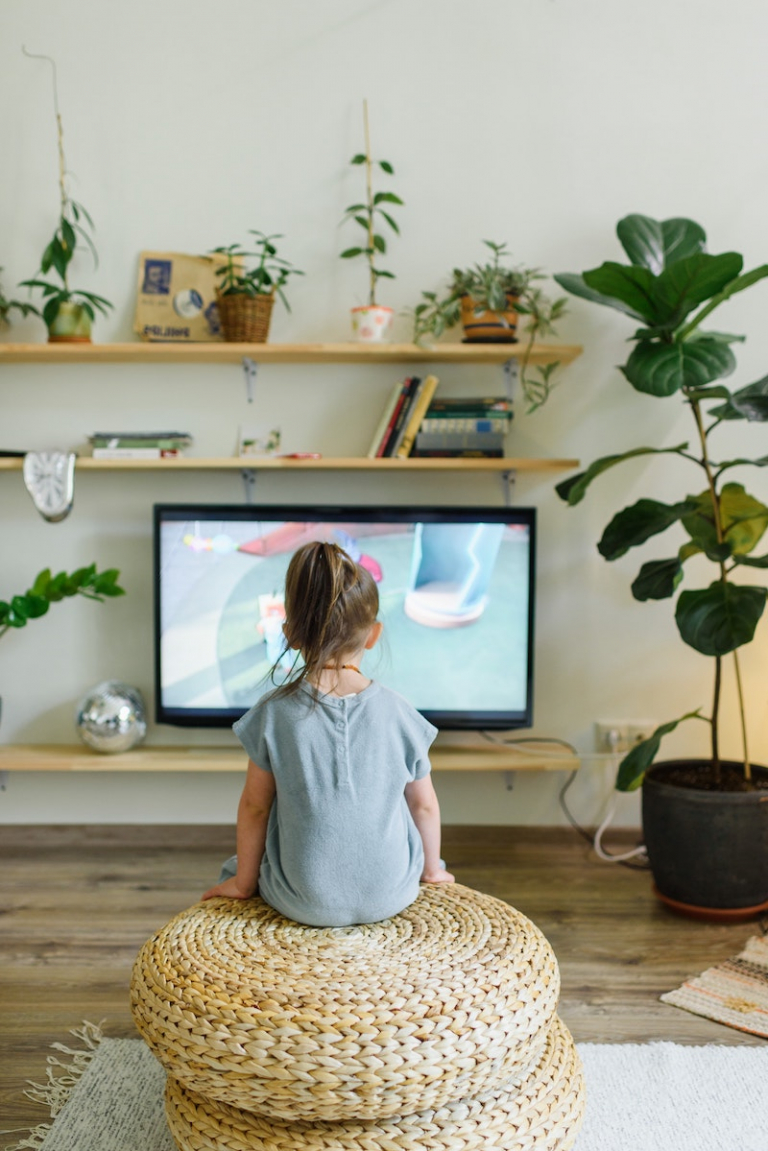 TV Buddy vs Chrome Cast: Which is Better? – Archziner.com