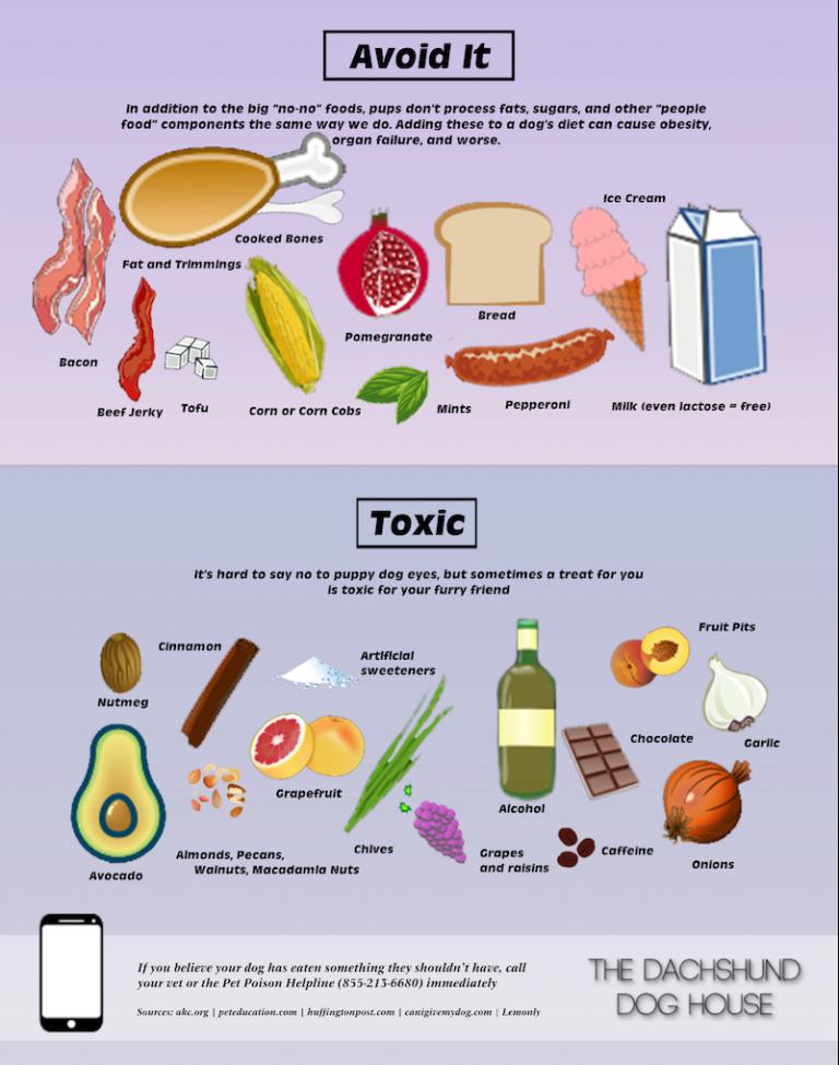 Homemade Dog Food Recipes: Vet Approved and Nutritionally Complete