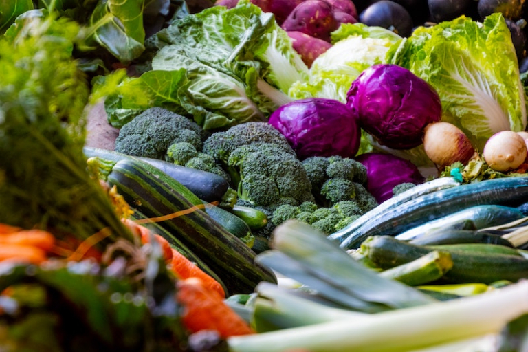 7 Questions to Ask Before Starting a Garden: A Beginner's Guide