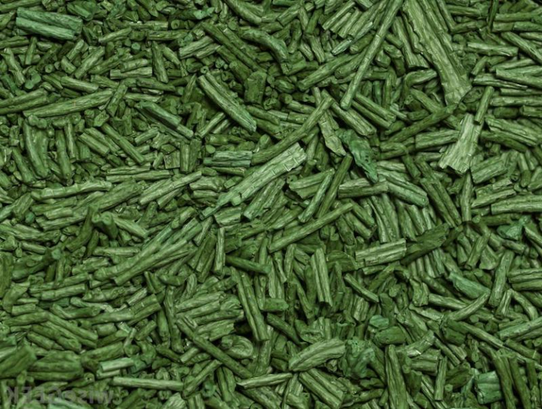 5+ Spirulina Benefits, Nutrition, and Side Effects – Archziner.com
