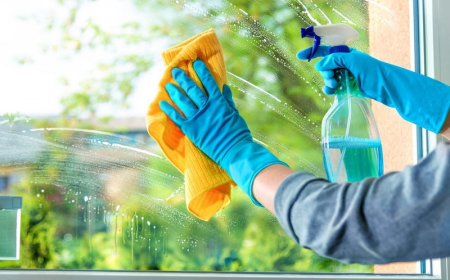Best Way To Clean Windows: 5 Tips For An Easy and Effective Clean