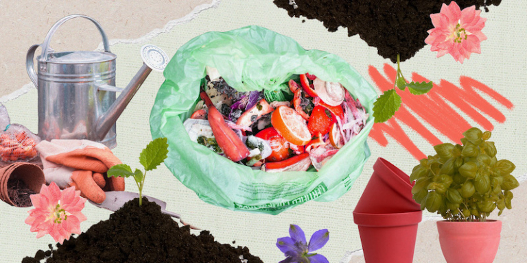 Organic Compost Guide: Everything you need to know about making your ...