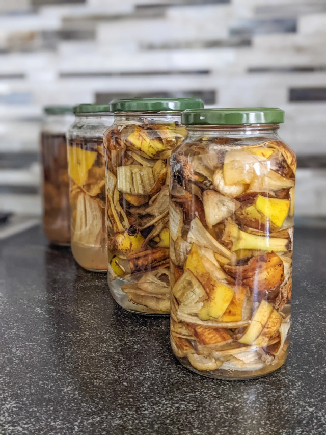 6 Organic DIY Indoor Plant Fertilizer Recipes That Work Like Magic!