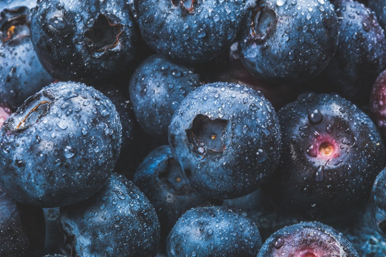 How to Wash and Store Blueberries: Tips to Keep Them Fresh & Aromatic