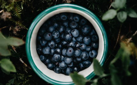 How to wash and store blueberries to keep them fresh & aromatic