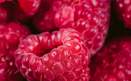 How to wash and store raspberries so they stay fresh for longer