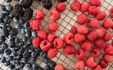How to wash and store raspberries so they stay fresh for longer