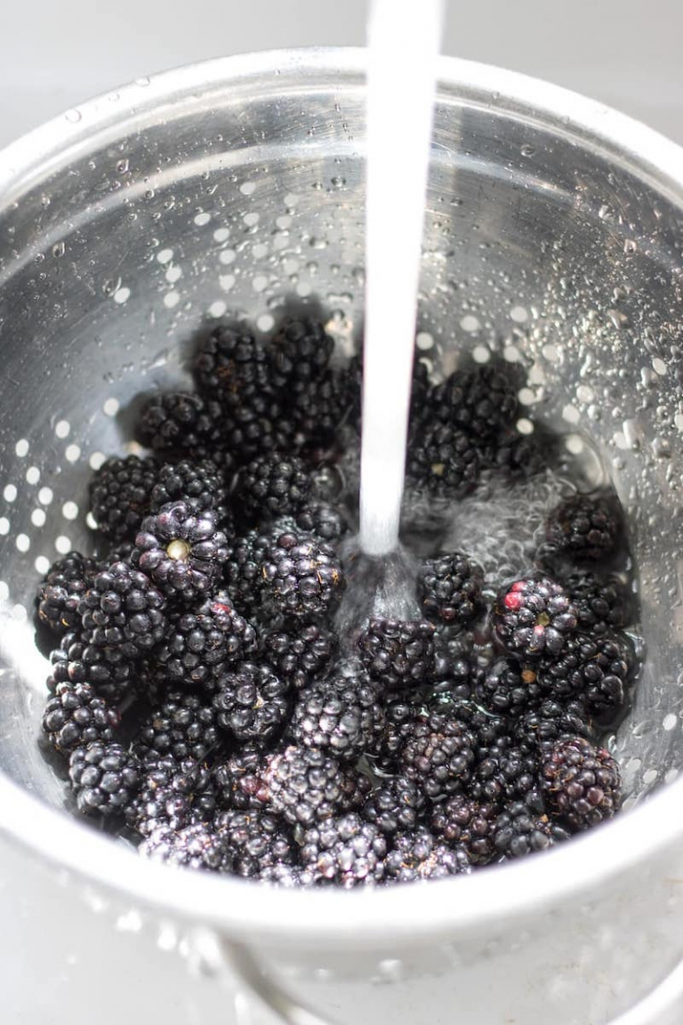 How to ACTUALLY Wash and Store Blackberries to Keep them Juicy