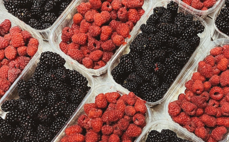 How to wash and store blackberries to keep them juicy & fresh