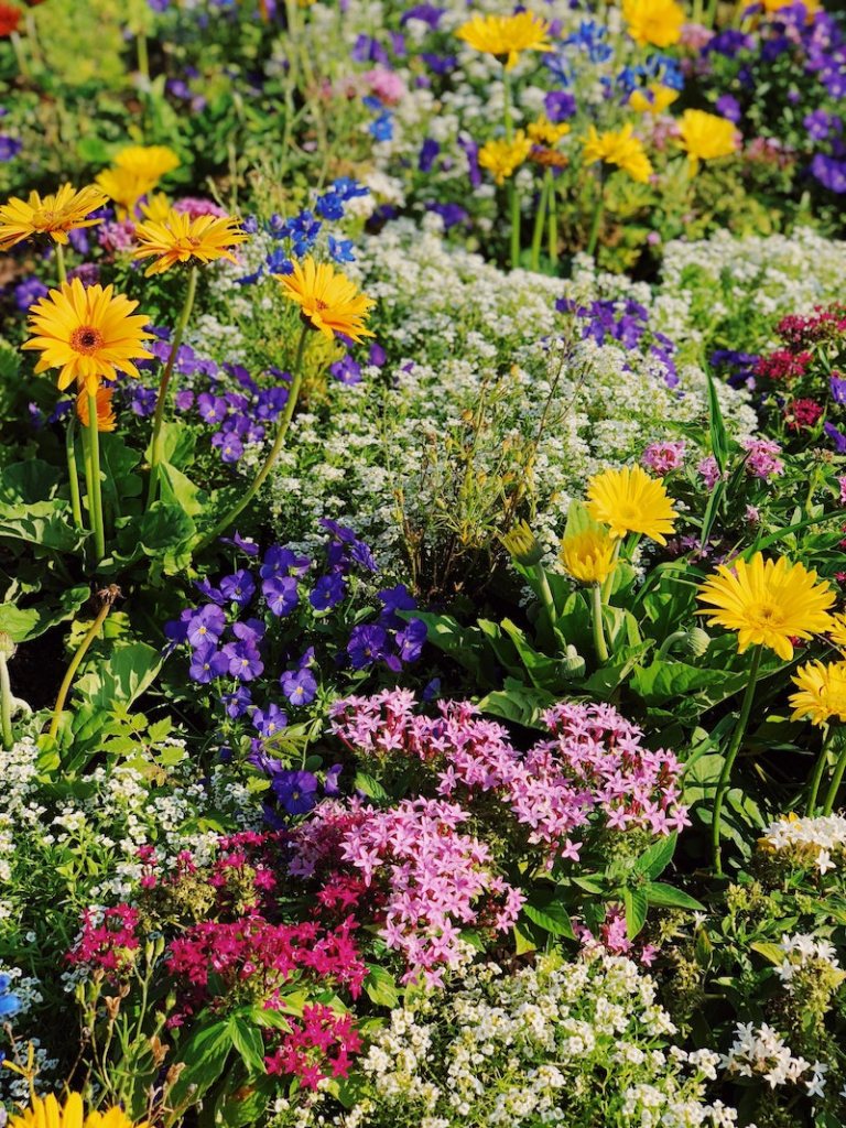 6 Essential Spring Gardening Tips to Prepare Your Garden for the Season