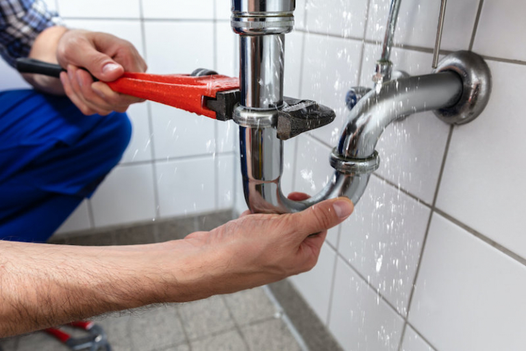 How To Get Rid Of Stink Bugs: 11+ Tips And Tricks