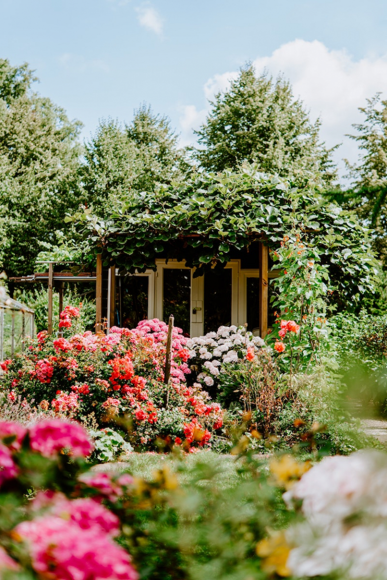 What To Plant In June: 5+ Best Vegetables and Flowers