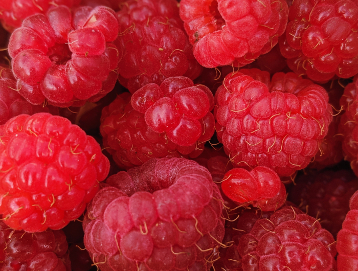 How to wash and store raspberries so they stay fresh for longer