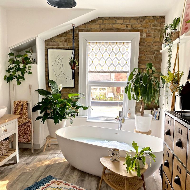Bathroom Plants: 7+ Best Houseplants For Your Bathroom