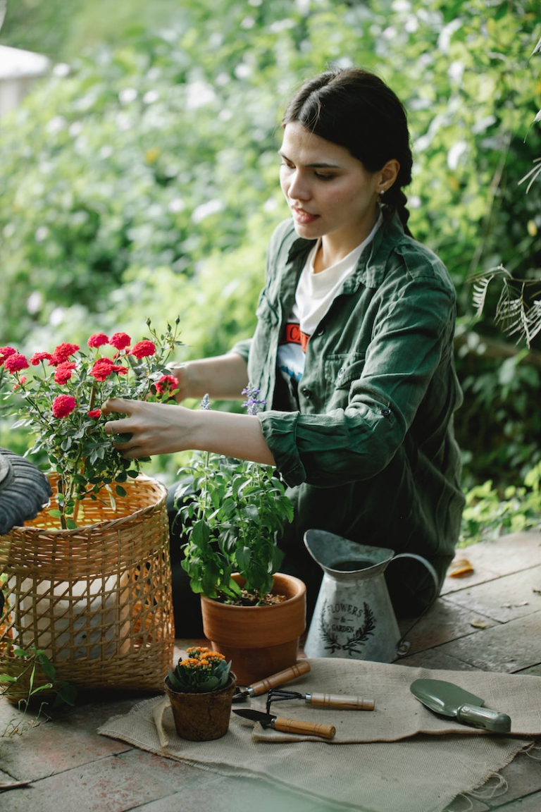 Miniature Roses: Complete Guide for Growing & Taking Care of Mini Roses