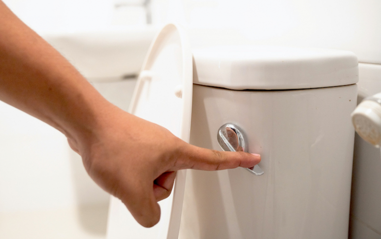 How To Remove a Tick: Everything You Need To Know