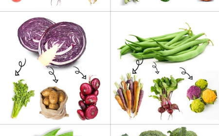 Companion Planting: What vegetables & herbs can be planted together in ...