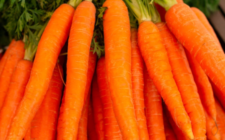 7+ Foods That Give You A Perfect Tan (Without Tanning)