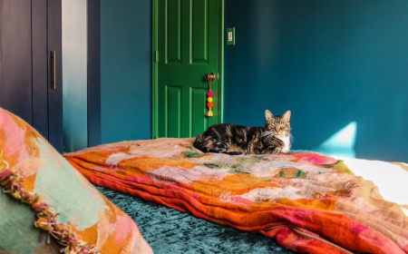 How the Color of your Bedroom Affects your Sleep (according to sleep ...