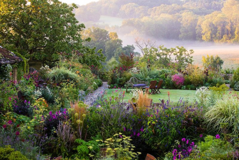 Rewidling: How To Rewild Your Garden In 7 Easy Steps