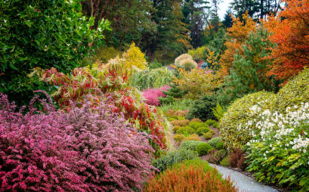 What To Plant In The Fall: 5+ Best Flowers For A Beautiful Garden