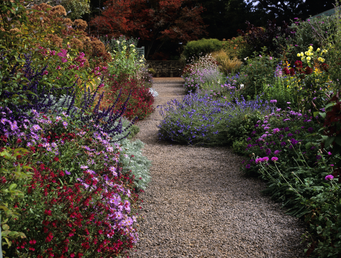 7 Captivating Plants To Use For Beautiful Garden Borders