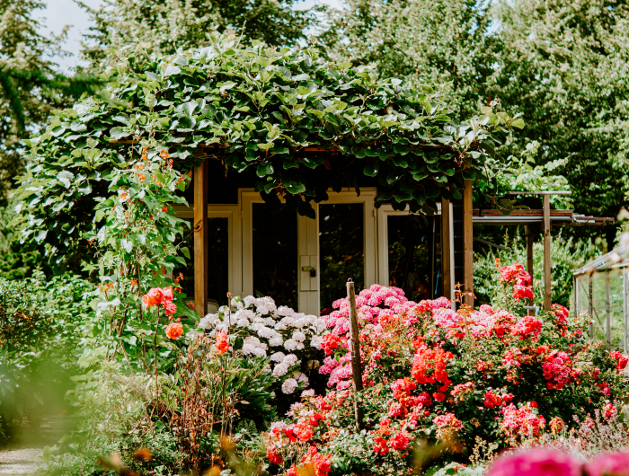 5 Best Biennial Plants To Add To Your Garden